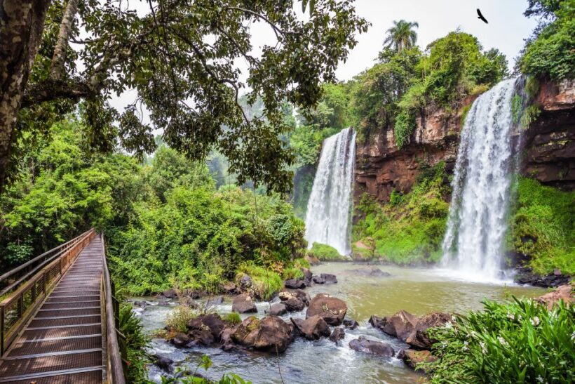 Argentinian Iguazu Falls Full Day Tour - Who Should Take This Tour?