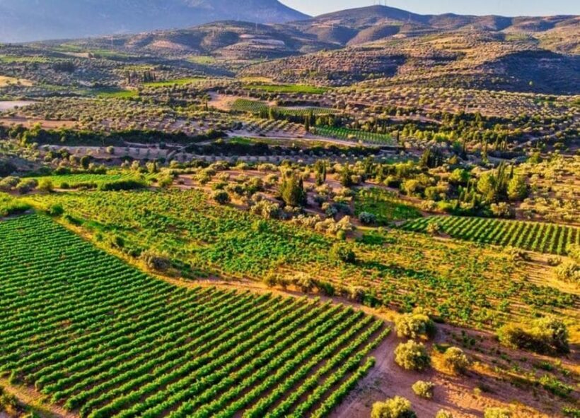 Argo Cultural Arts and Tastings Private Tour - What Makes This Tour Stand Out?