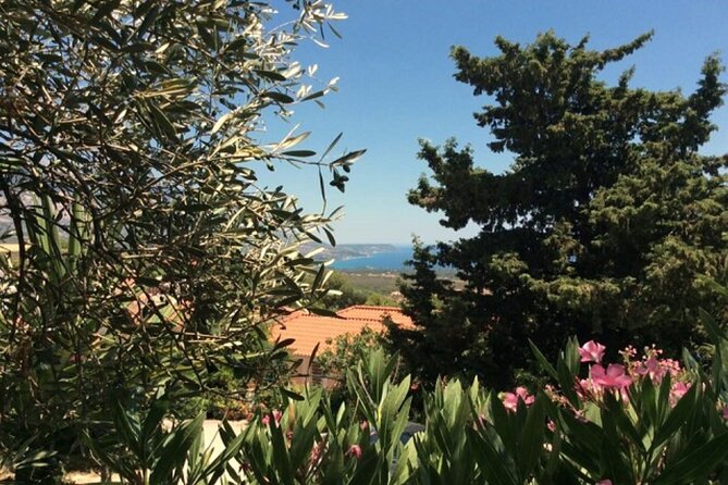 Argostoli and Beyond: A Journey through Villages - Transport, Timing, and Group Size