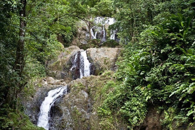 Argyle Waterfall with Adventure Farm - Introduction: What to Expect from the Argyle Waterfall with Adventure Farm Tour