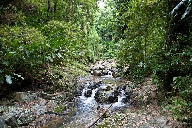 Argyle Waterfall with Adventure Farm - Exploring Tobago’s Natural Wonders