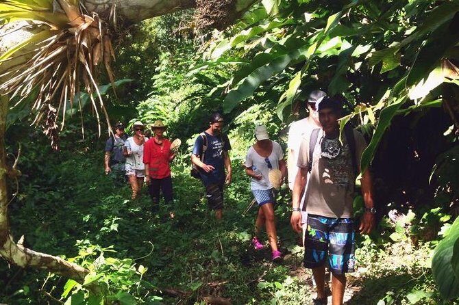 Argyle Waterfall with Adventure Farm - Who Will Enjoy This Tour?