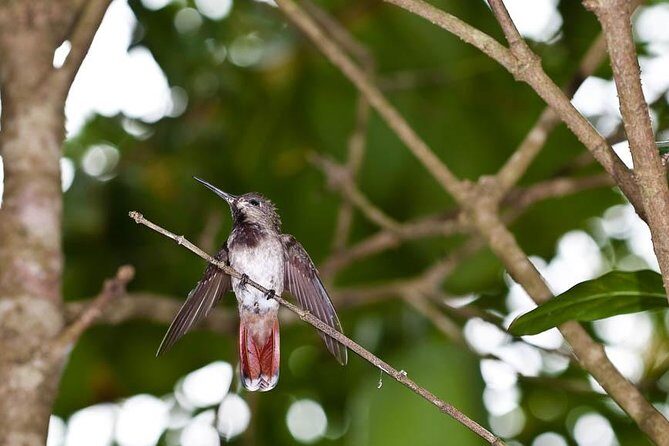 Argyle Waterfall with Adventure Farm - FAQ