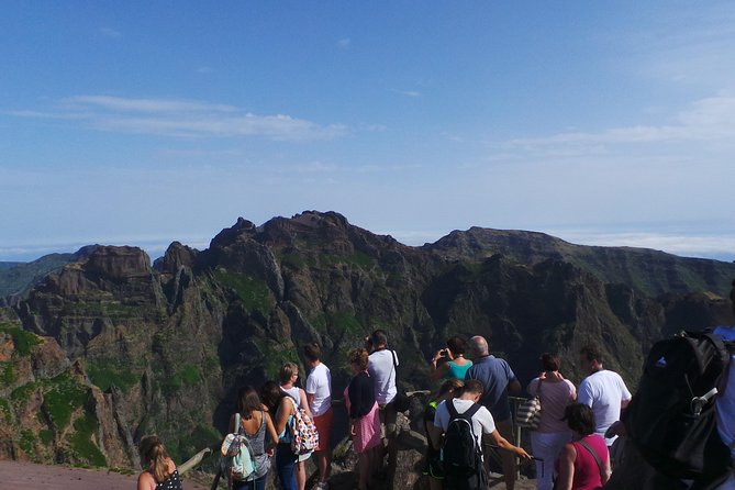 Arieiro Peak and Cristo Rei 4x4 Experience + Dolphins Watching - Accessibility Information