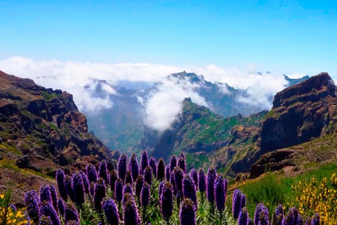Arieiro Peak, Santo Da Serra and Cristo Rei 4x4 Experience - Experiencing Personalized Attention