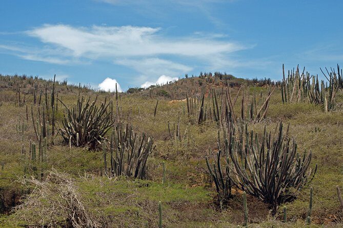 Arikok Adventurous Hiking Experience in Aruba - Frequently Asked Questions