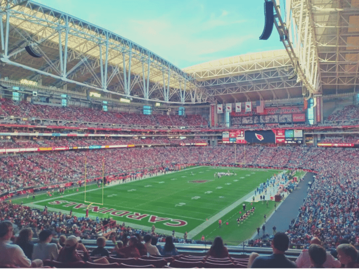 Arizona Cardinals Football Game at State Farm Stadium - Who Should Consider This Tour?