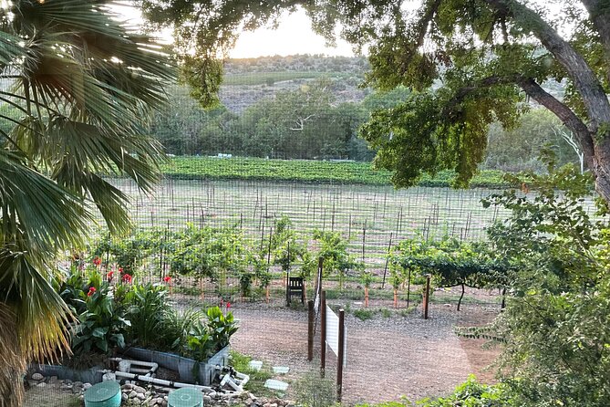 Arizona Winery All-Inclusive Tour With Lunch & Tastings - Tour Logistics