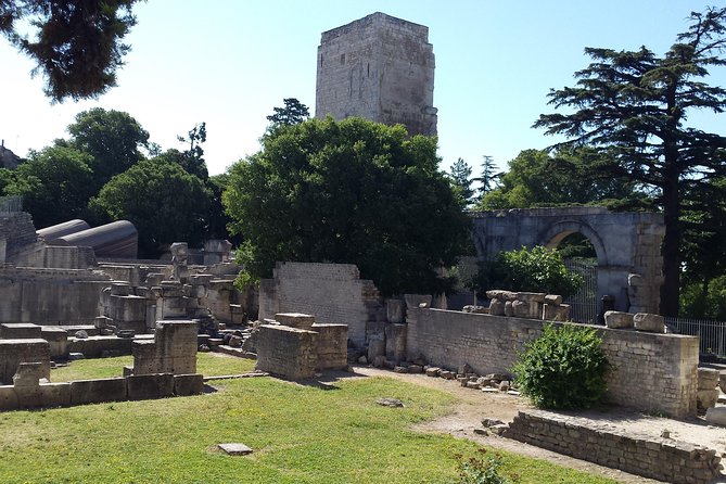 Arles and Camargue Full-Day Tour Including Aigues Mortes - Discovering the Camargue Region