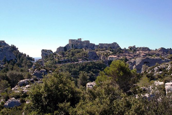 Arles, Les Baux, and Saint Remy De Provence From Marseille - Traveler Reviews and Testimonials