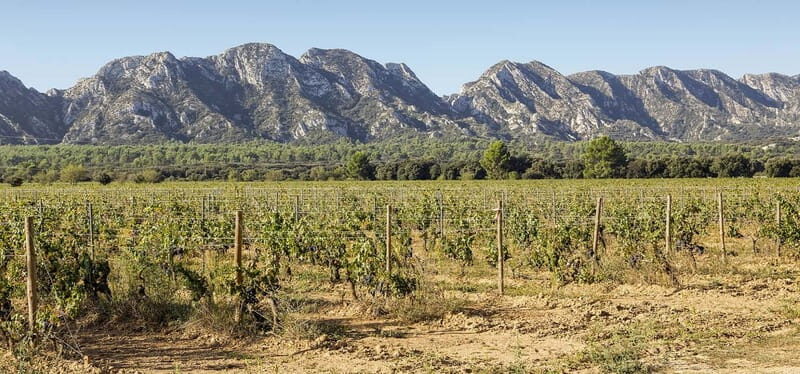 Arles, Saint-Rémy & Les Baux De Provence -7 hours - Key Points