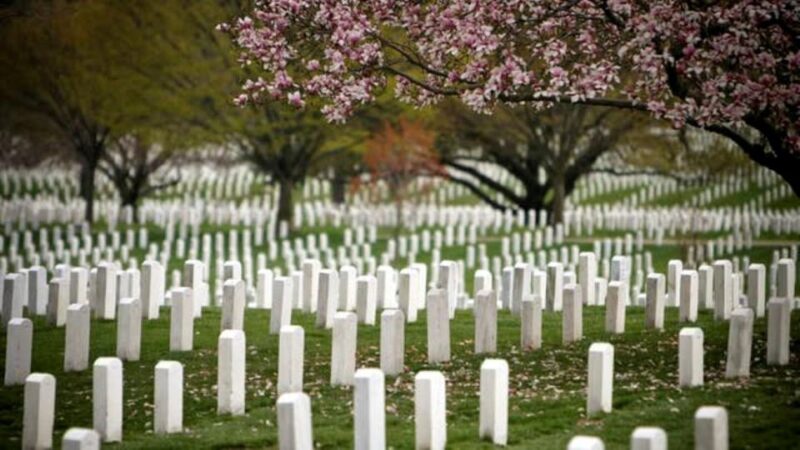 Arlington Cementary & Guard Ceremony with Iowa Jima Memorial - Final Thoughts: Who Will Love This Tour?