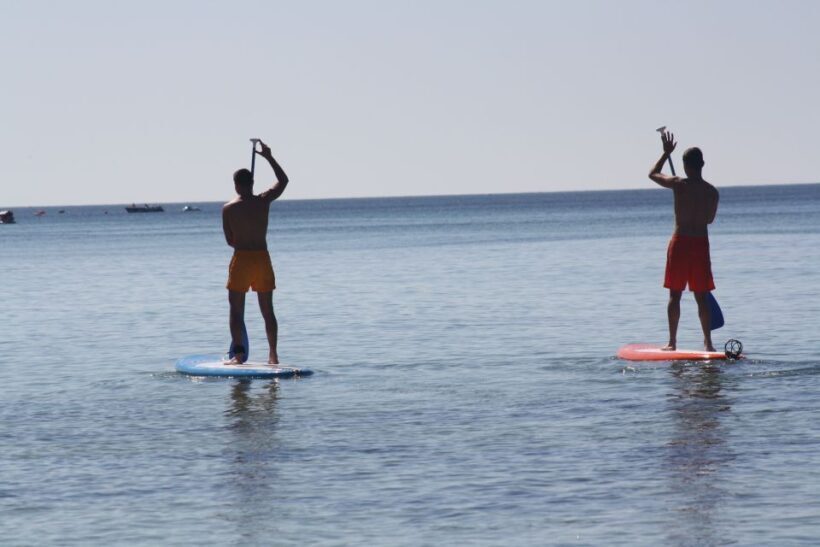 Armação de Pêra: Stand Up Paddle Hire - Key Points