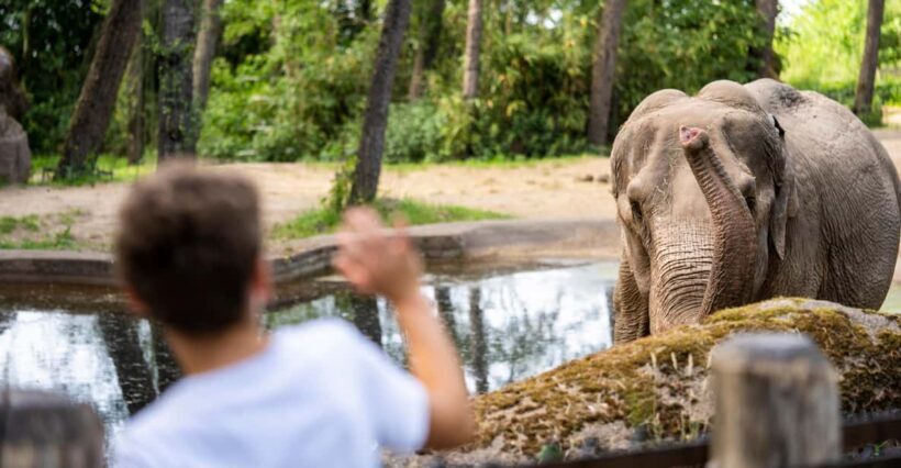 Arnhem: Burgers' Zoo Entry Ticket - An Overview of What You Can Expect