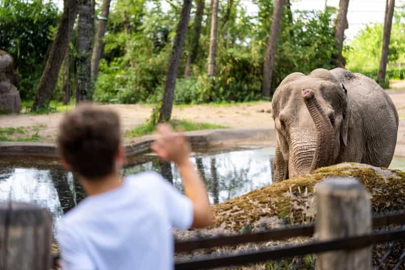 Arnhem: Burgers' Zoo Entry Ticket - What Visitors Are Saying