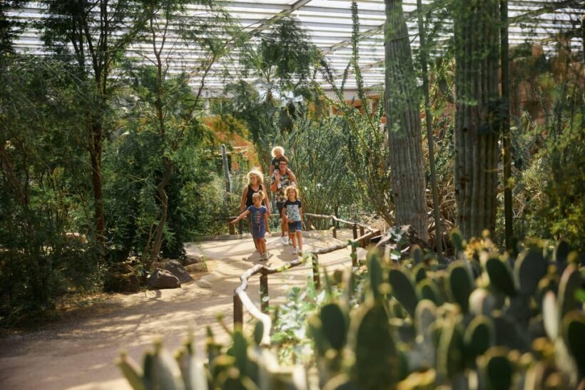 Arnhem: Burgers' Zoo Entry Ticket - Who Will Enjoy Burgers Zoo?