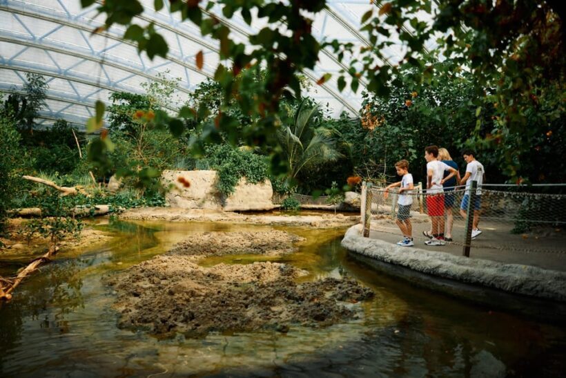 Arnhem: Burgers' Zoo Entry Ticket - Final Thoughts