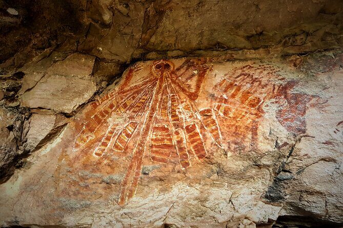 Arnhem Land Yingana Injalak Hill Full Day Tour from Darwin - Food and Facilities