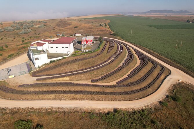 Aroma sampling of 5 Bulgarian Lavender varieties at DiVes Winery - What to Expect from the Lavender Aroma Sampling Tour