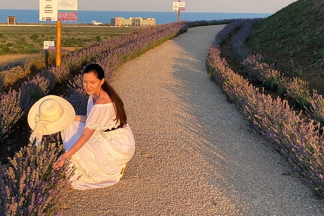 Aroma sampling of 5 Bulgarian Lavender varieties at DiVes Winery - The Value and Pricing