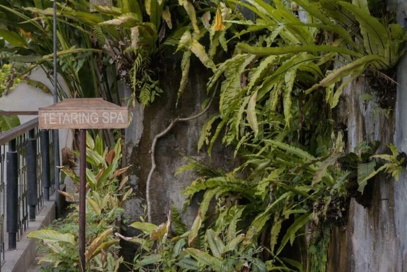 Aromatherapy Massage - How does the session unfold?