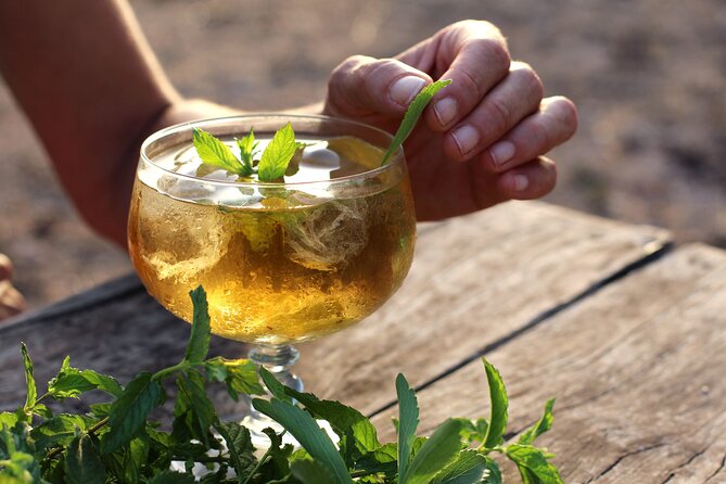 Aromatic Experience in the Medicinal Garden in Ibiza - Key Points