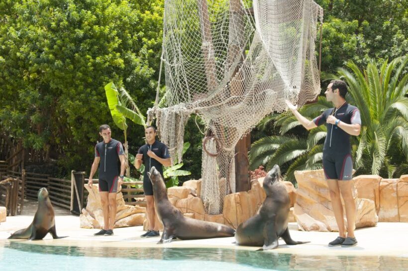 Arona: Entry Ticket to Tenerife's Jungle Park Zoo - Key Points