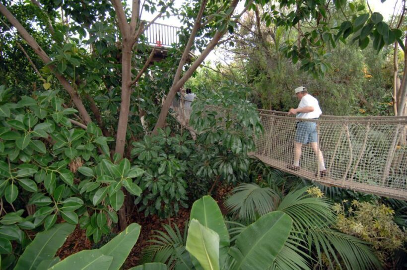 Arona: Entry Ticket to Tenerife's Jungle Park Zoo - A Closer Look at What You Can Expect
