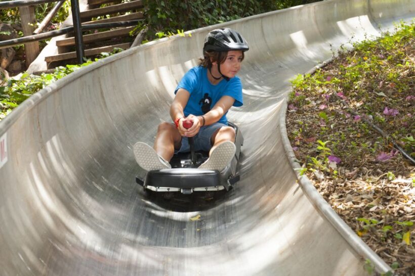 Arona: Entry Ticket to Tenerife's Jungle Park Zoo - How to Make the Most of Your Visit