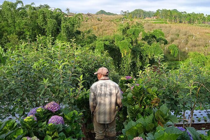 Around Bromo Farming Experience - Local Cuisine and Cultural Connection