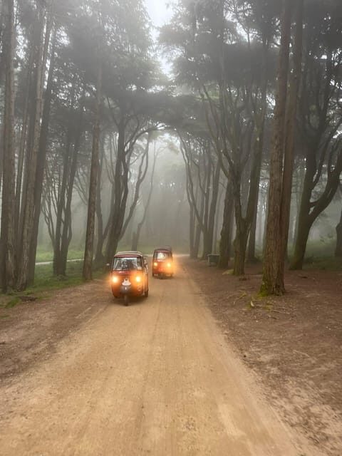 Around Pena Palace Tuk Tuk Tour - Key Points