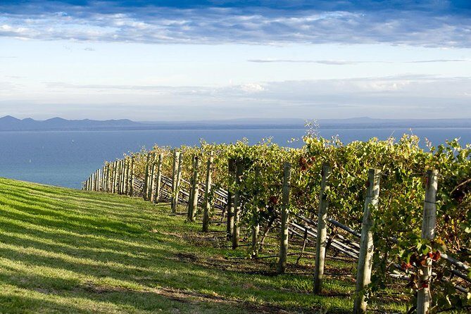 Around the Bay Food and Wine Taste Trail - Key Points