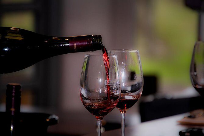 Around the Bay Food and Wine Taste Trail - FAQs