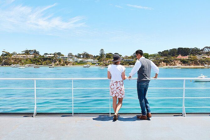 Around the Bay Sightseeing and Bay Cruise - Key Points