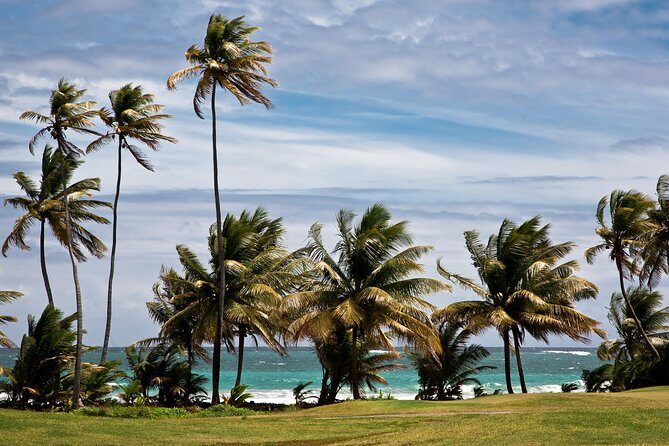 Around the Island - Authentic Experiences and Guides