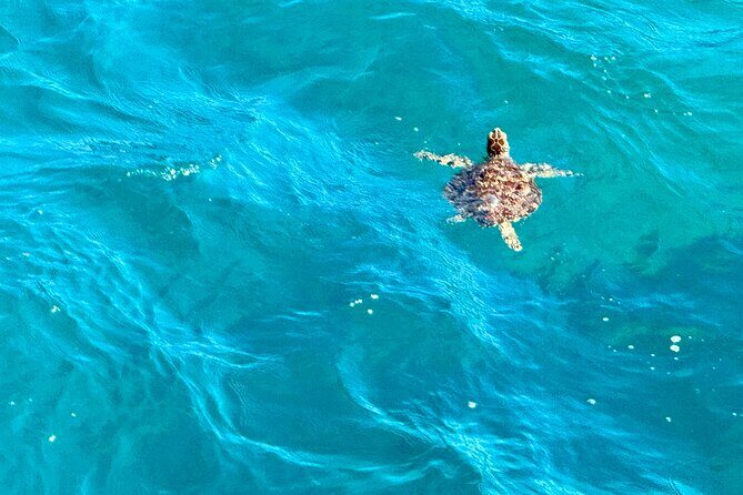 Around the Island Tour From San Juan - FAQ