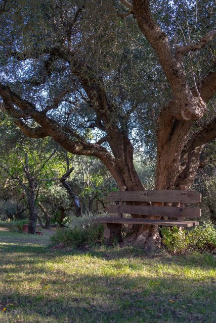 Arquà Petrarca Guided Tour From Padua - What Travelers Say