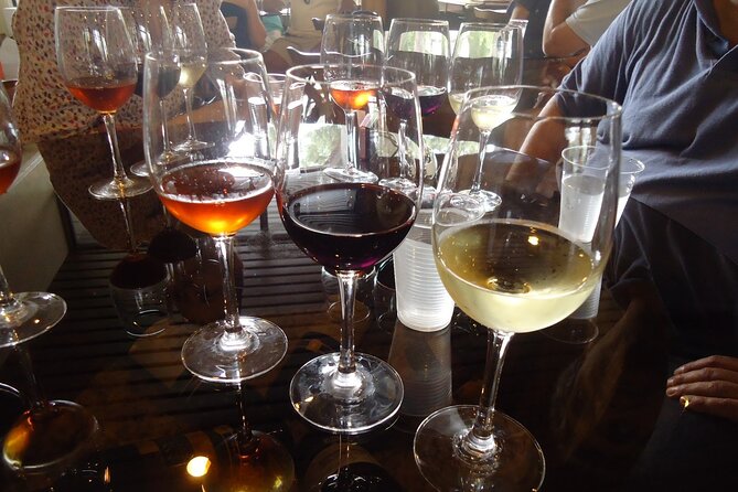 Arrabida and Bacalhoa Wine Tasting Private Tour from Lisbon - Who Should Consider This Tour?