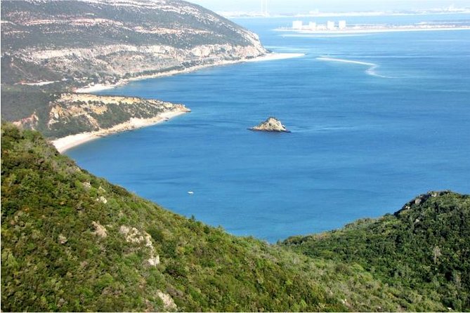 Arrabida and Bacalhoa Wine Tasting Private Tour from Lisbon - FAQ: Your Practical Questions Answered