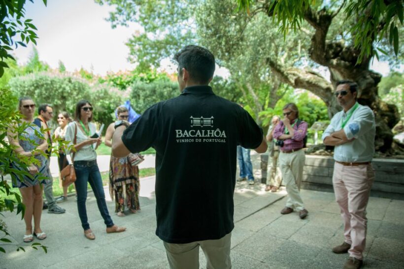 Arrábida: Full-Day Private Tour with Wine Tasting - Authentic Experiences and Authentic Encounters