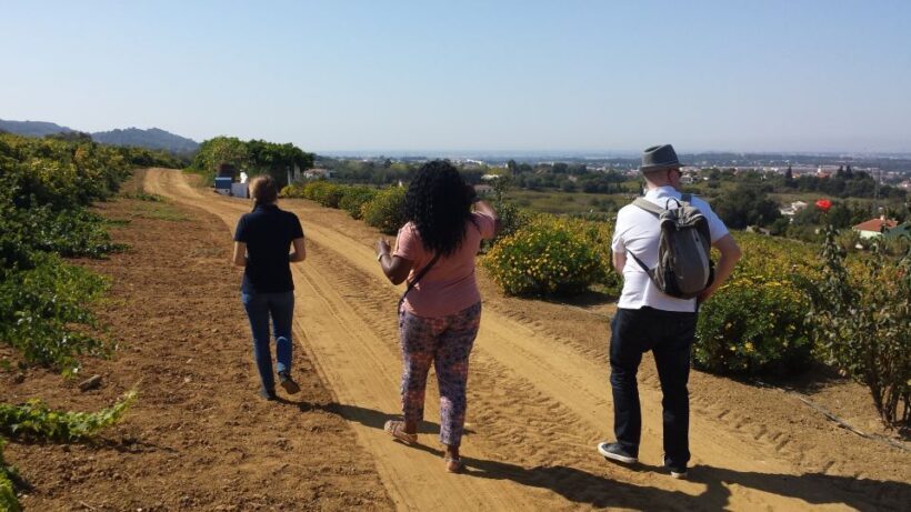Arrábida: Full-Day Private Tour with Wine Tasting - Who Should Take This Tour?