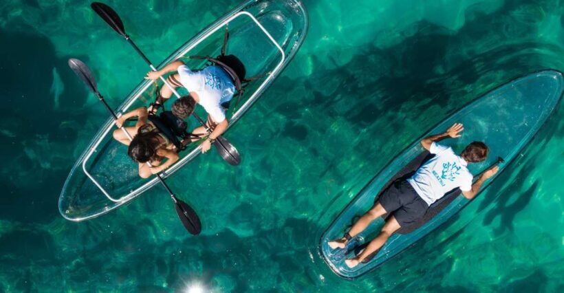 Arrábida: Guided Transparent Kayaking Tour - Why This Tour Offers Great Value