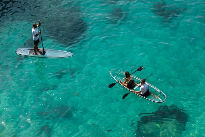 Arrábida: Guided Transparent Kayaking Tour - Meeting Point and Pickup Details