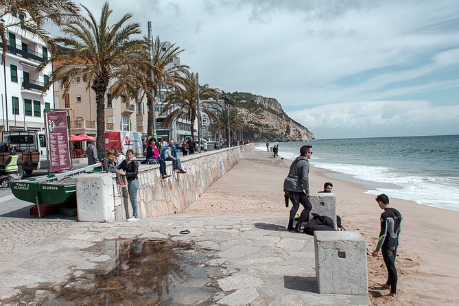 Arrábida Natural Park and Sesimbra Day Trip From Lisbon - Leisure and Lunch in the Charming Town of Sesimbra