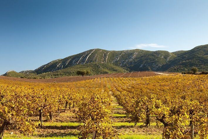 Arrabida Natural Park Full-Day Private Tour from Lisbon - FAQ