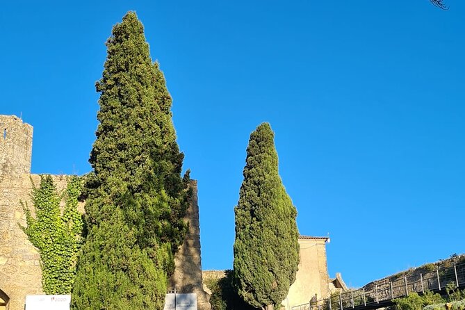 Arrábida: Private Setubal Highlights Tour (Full Day) - Authentic Experiences That Stand Out