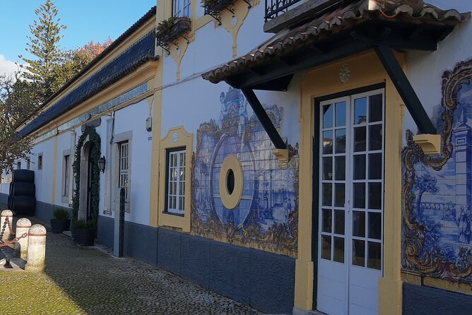 Arrábida: Private Setubal Highlights Tour (Full Day) - Who This Tour Is Best For