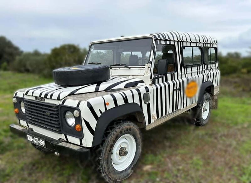 Arrábida - Sesimbra: Jeep Tour From Cabo Espichel to Lagoa - Who Will Love This Tour?
