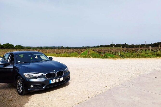 Arrábida & Setúbal Wine Tour: Food & All-Inclusive from Lisbon - Key Points