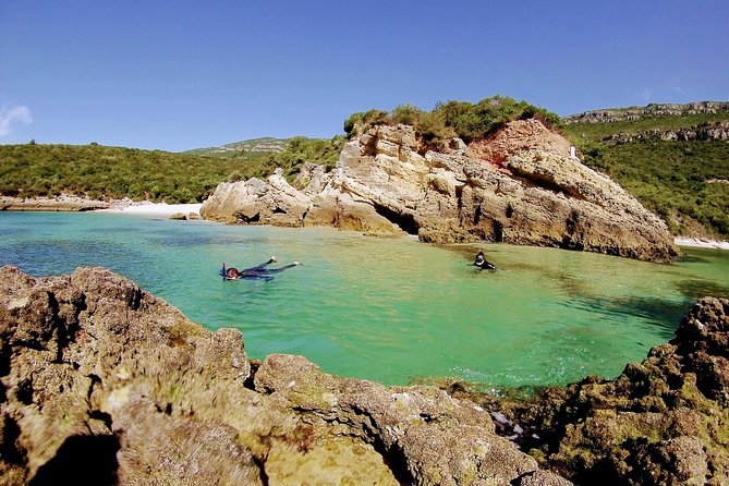 Arrábida Snorkeling Adventure With Transfer From Lisbon - Preparing for Your Snorkeling Experience